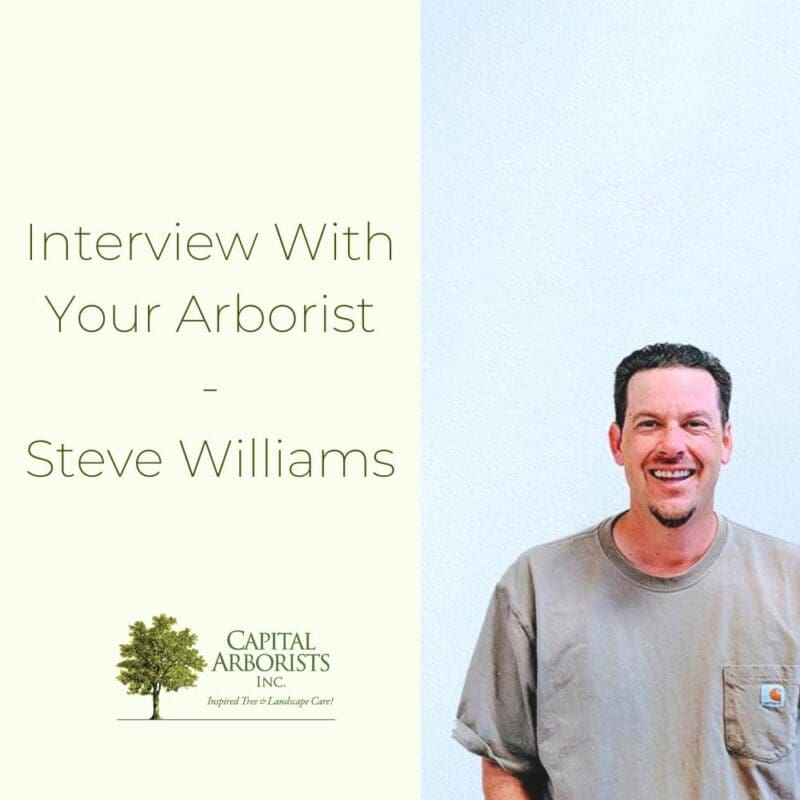 Learn - Capital Arborists